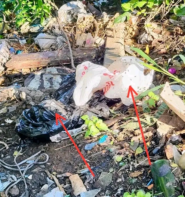 KUTHOLWE INGANE ILAHLWE EZIBINI EVERULAM. - INKEZO KAZULU NAMUHLA